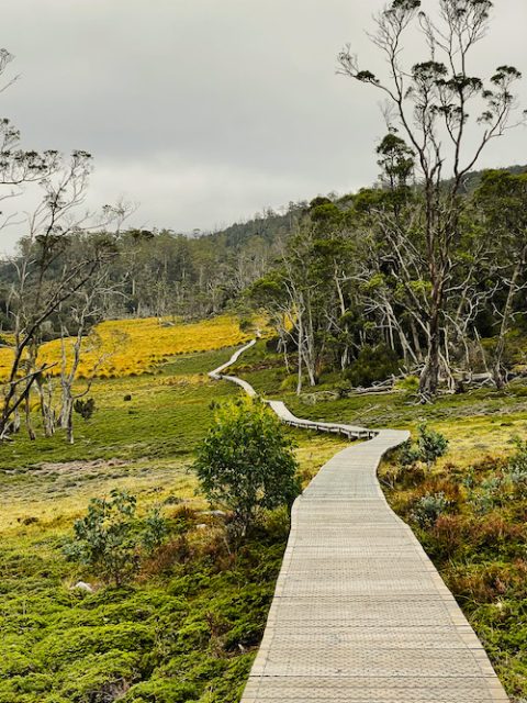Cradle Mountain: Complete Guide to Unforgettable Stay 2025 - Tasmania ...