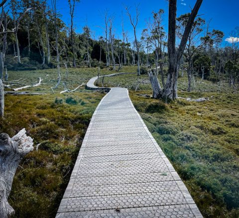 9 Best Cradle Mountain Walks in 2025 for an unforgettable Tasmanian ...