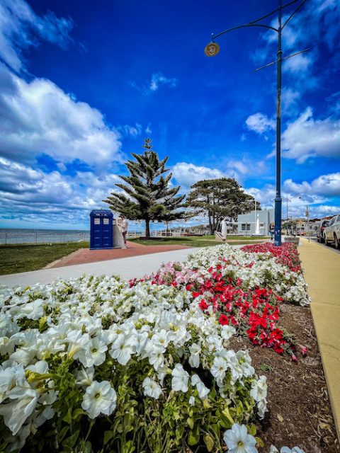 3 reasons to visit Penguin Tasmania: beaches, beer & a mighty big ...