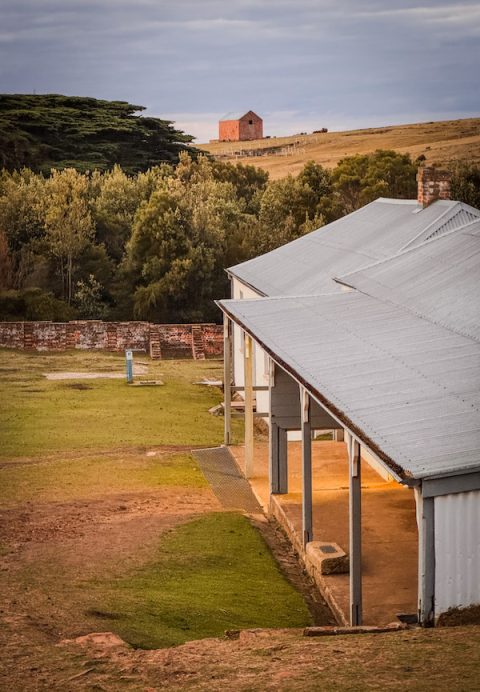 The Ultimate Guide to Visting Magical Maria Island Tasmania (2024 ...